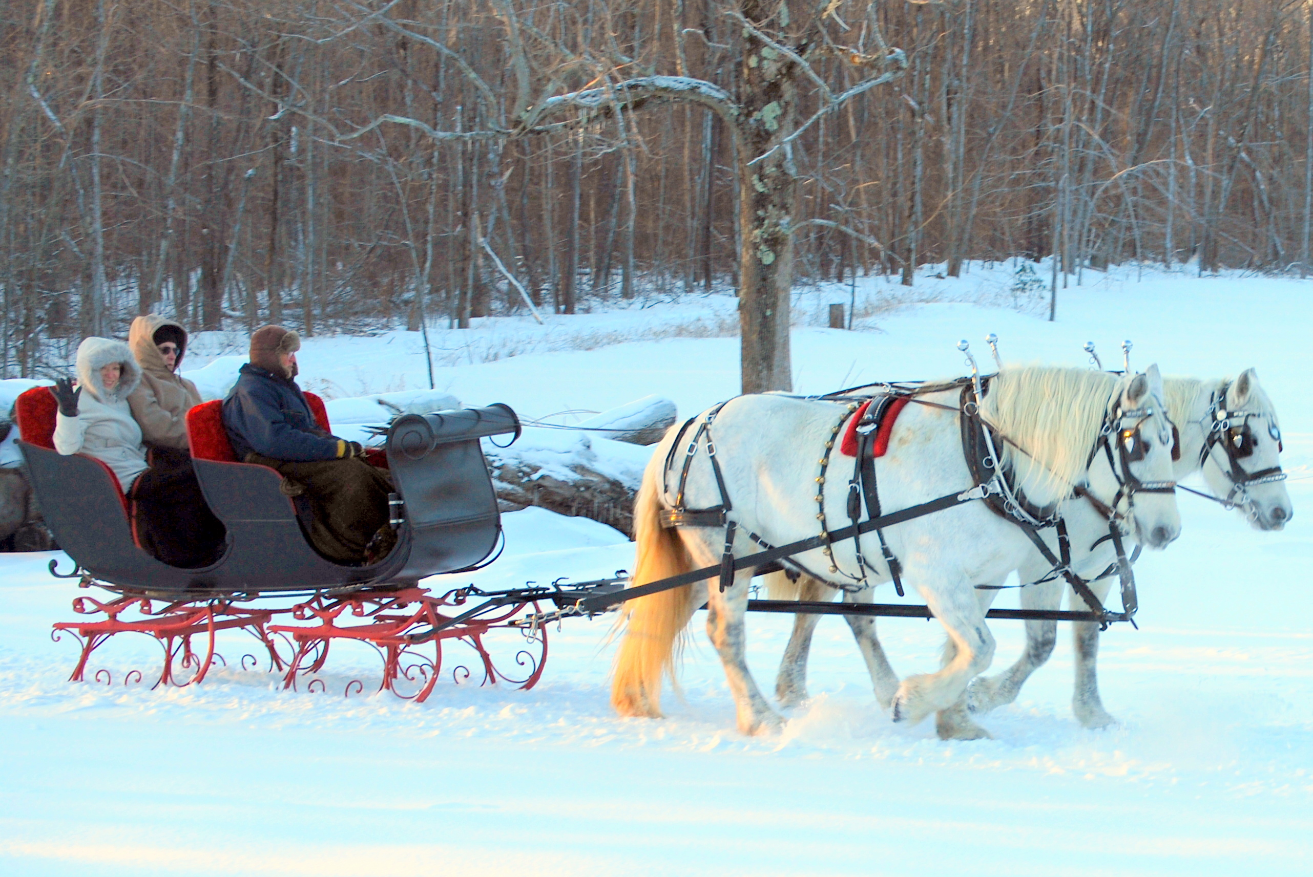 Poetic Thursday: Sleigh Ride! | these days of mine
