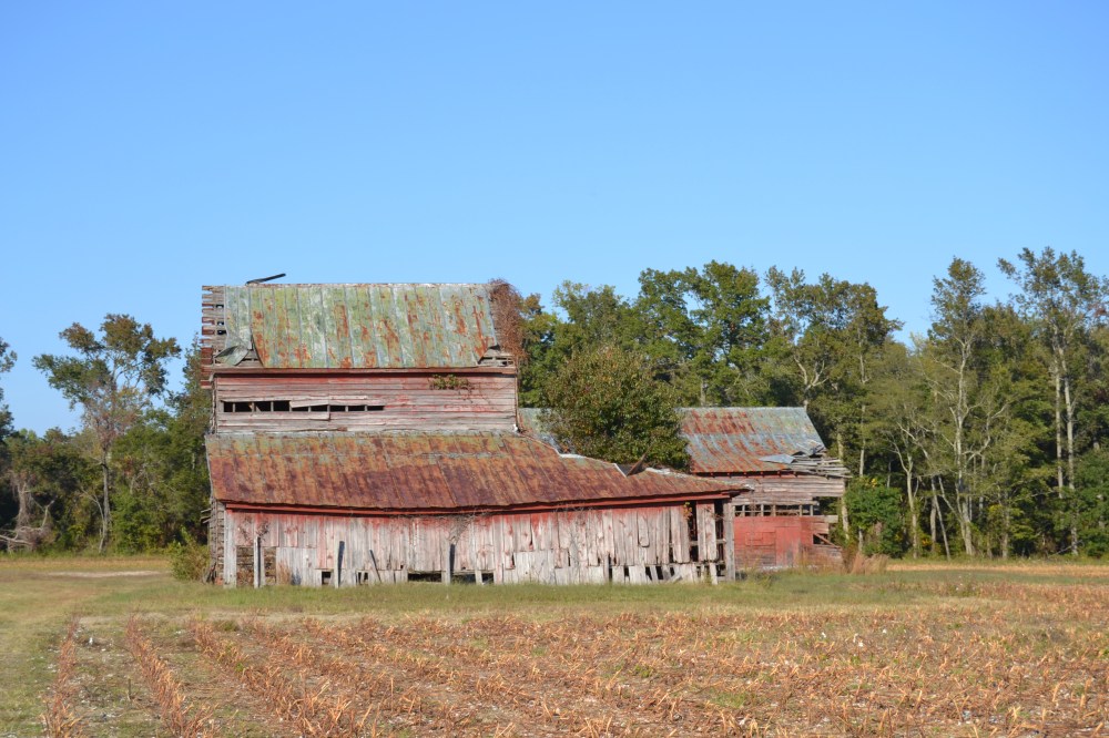 Cotton Barn Charm | these days of mine