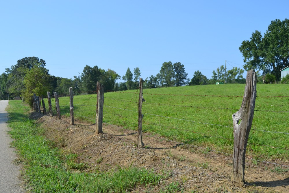 fence posts made of trees | these days of mine