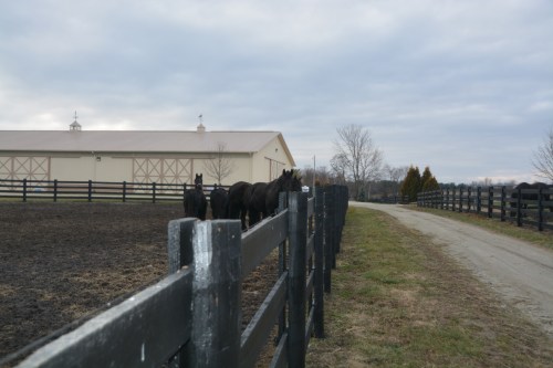 A Visit To THAT Farm | these days of mine