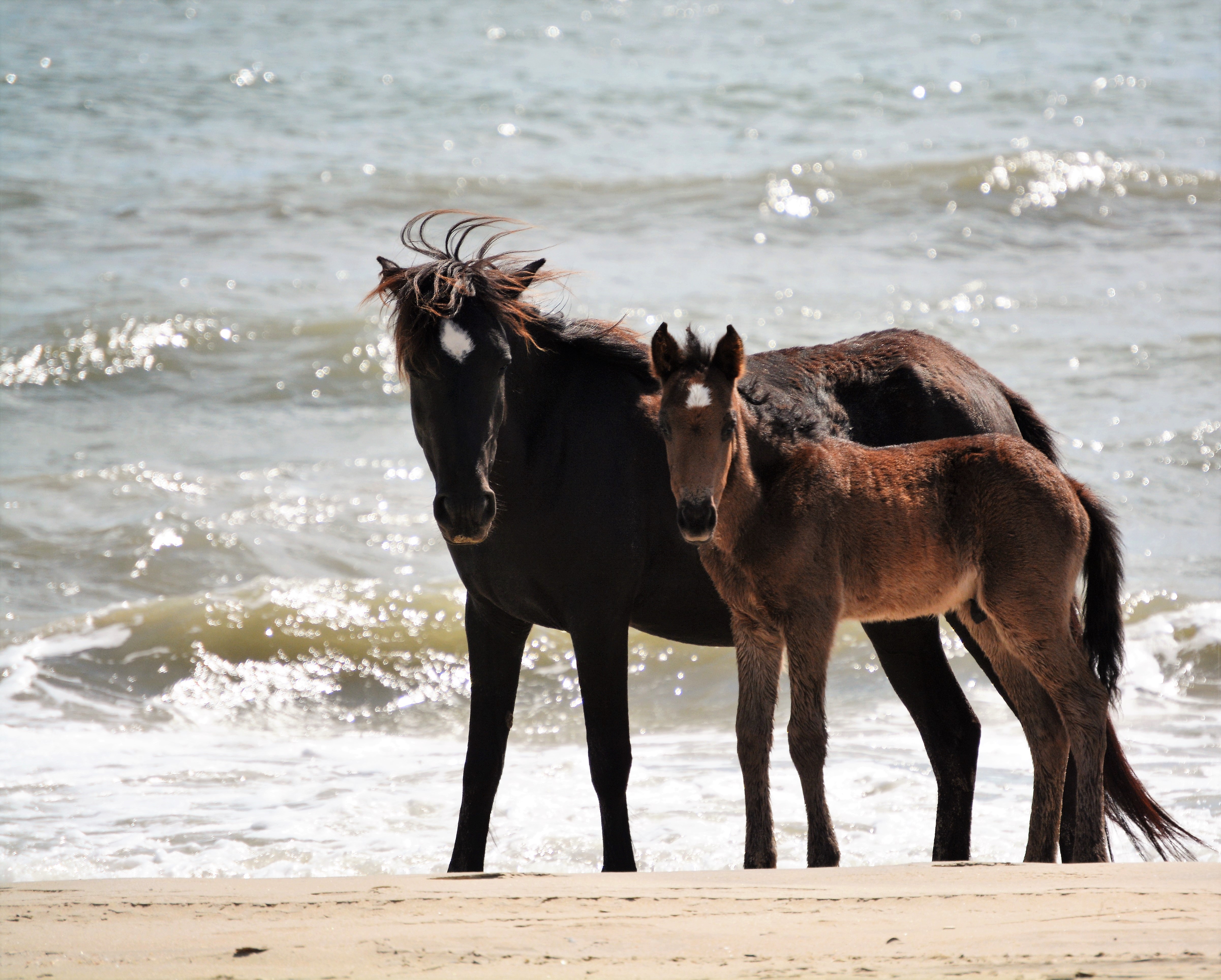 Beauties On The Beach | these days of mine