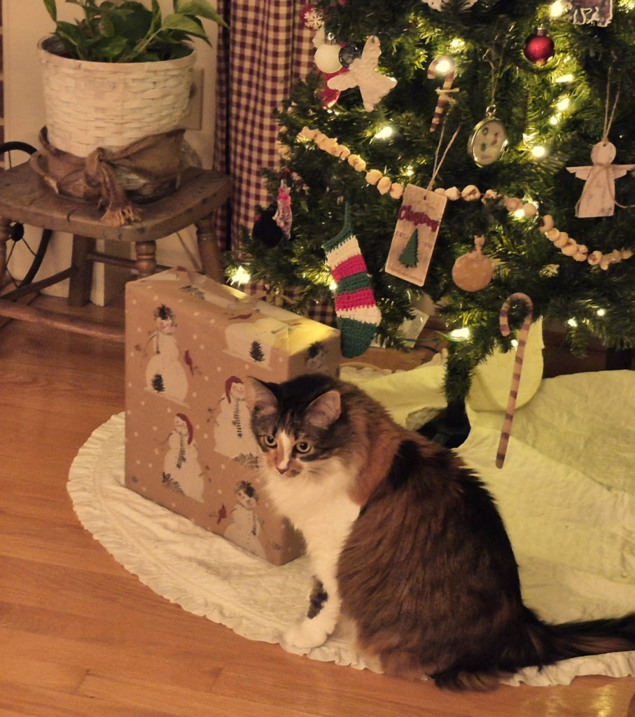 these days of mine | Stop in and see what's happening during these days ...